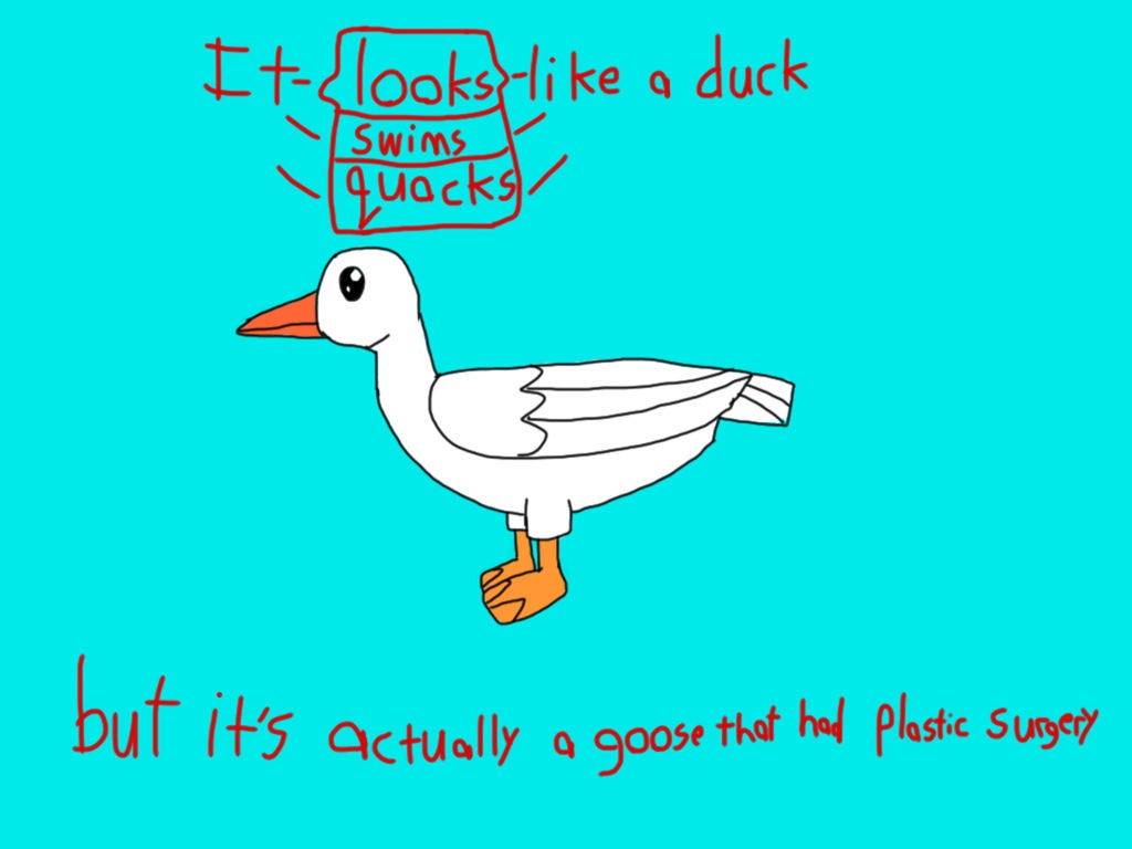 The Duck Test - Karam Zarkitou - Medium