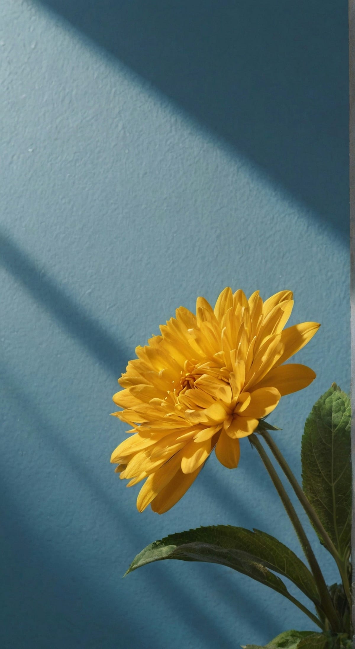 Childlike Joy. How my preschoolers remind me to find… | by Margaret ...