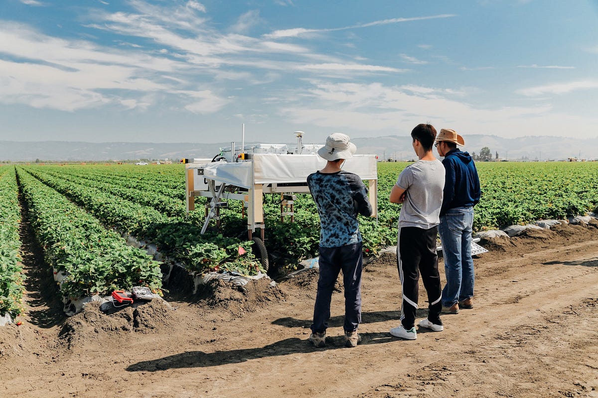 When rapid iteration is the strategy | by Elliott Grant | Sep, 2024 | Medium