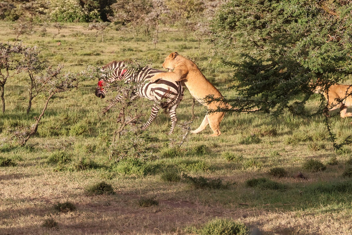 7 Stages Of The Devil’s Attack. “The thief cometh not, but for to… | by ...