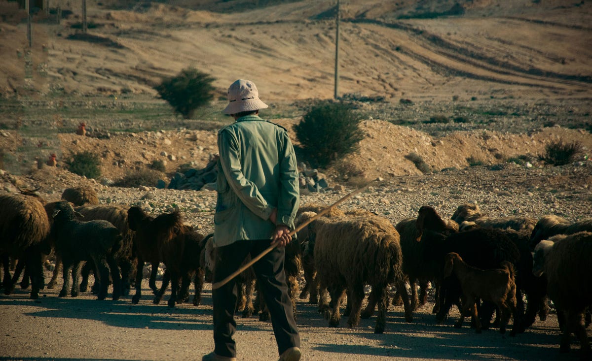 From Shepherds to Kings. How God uses the least likely to… | by Deb ...