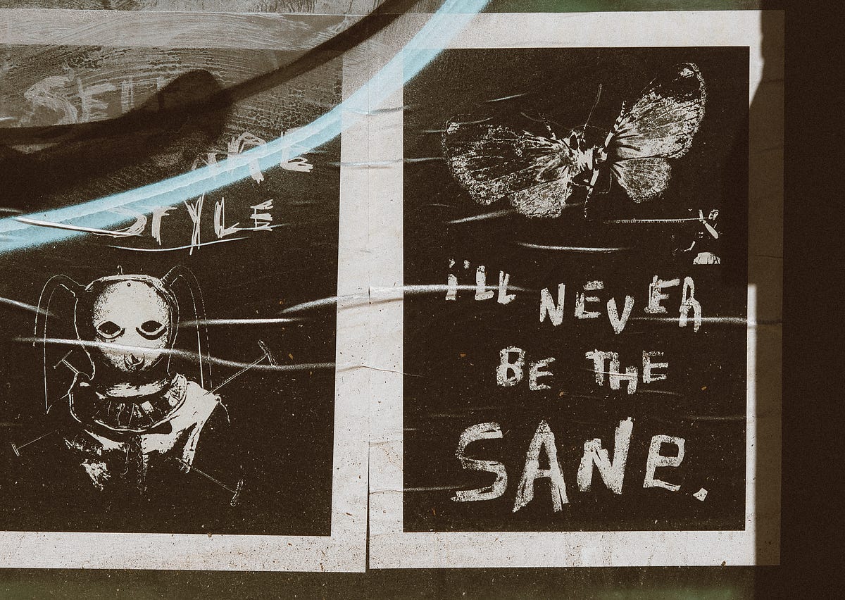 Psychosis Poems #16. Psychosis Poetry Presents… Mental… | by Ariel ...