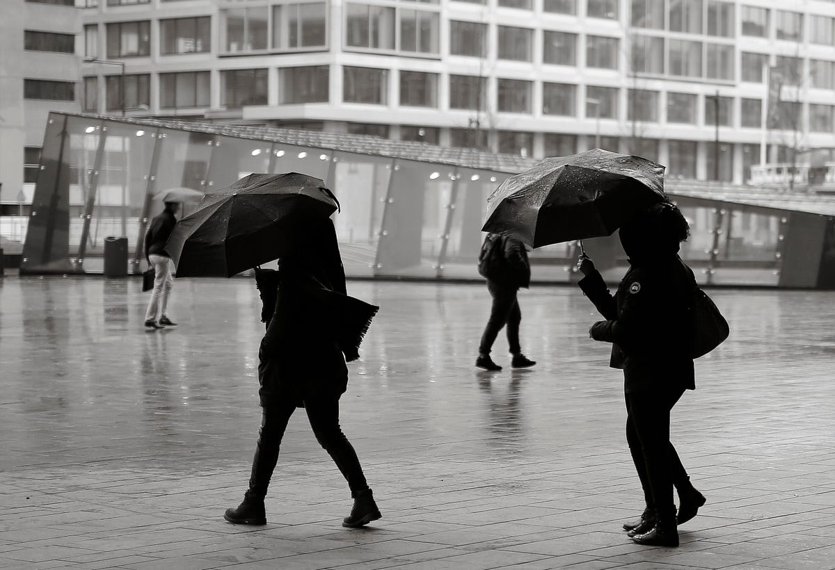 Silent Migration - Scuzzbucket - Medium