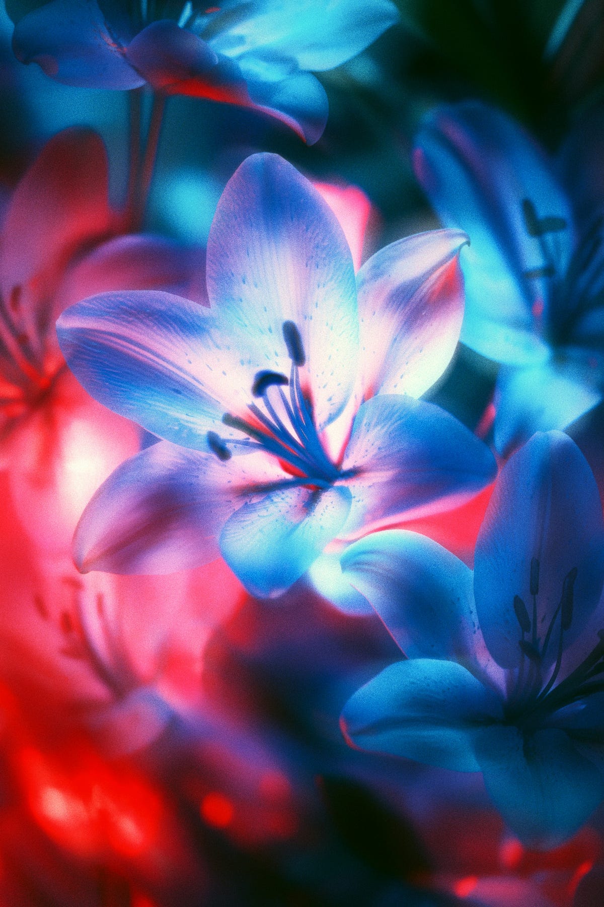 Choosing a genre for your story involves several key steps: | by Ibrar Ahmad | Sep, 2024 | Medium