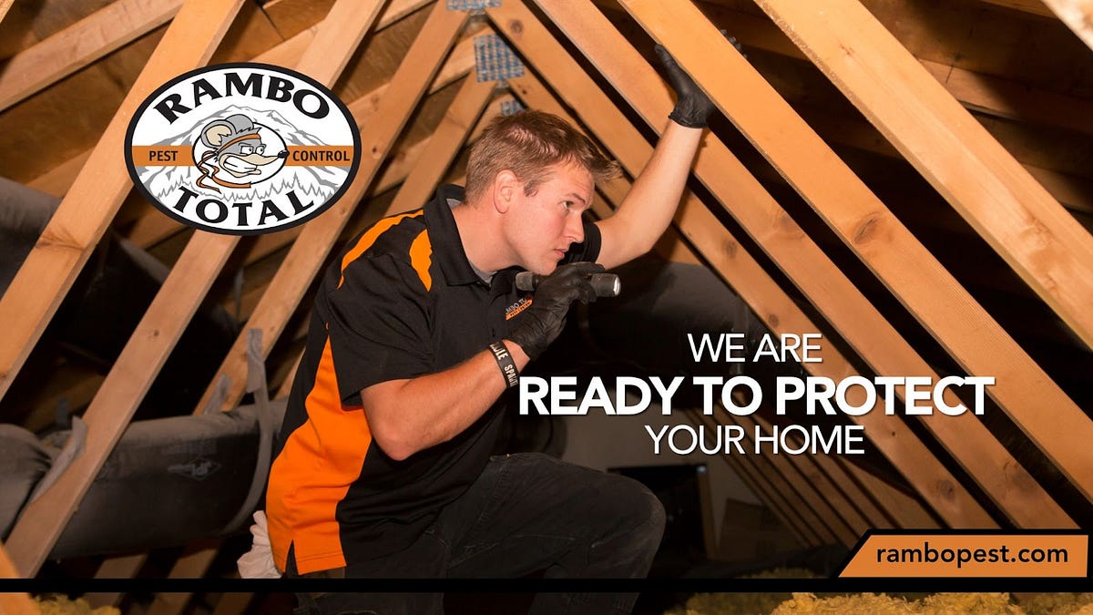Pest control in Tacoma. Rambo Total Pest Control services… | by ...