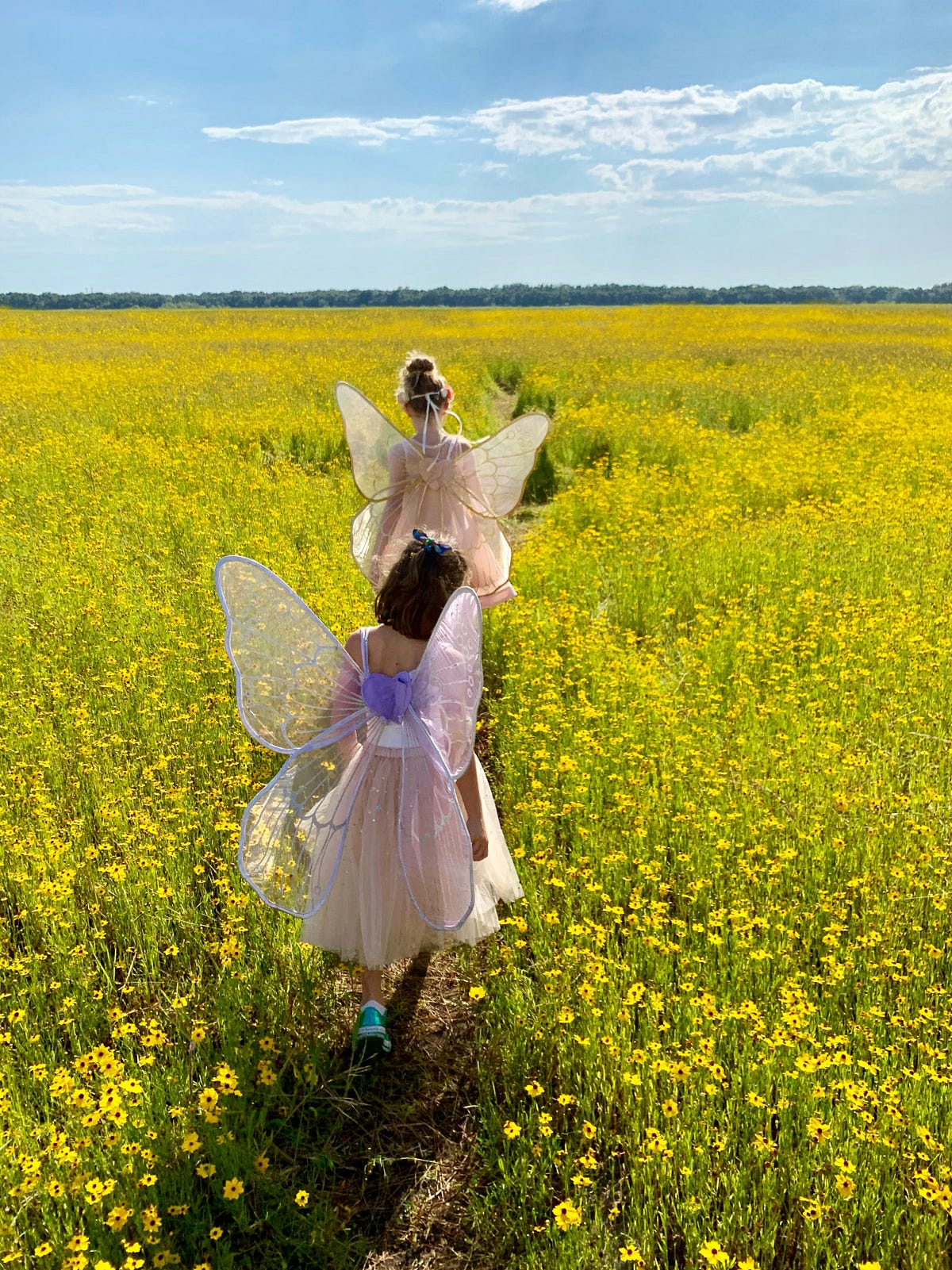 How to Invite Fairies — Witches’ Best Friends | by Dixxiee | The ...