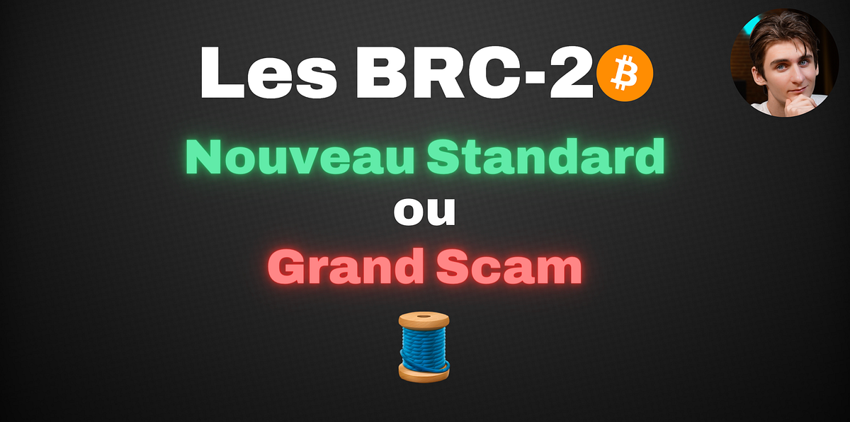 BRC-20 : Nouveau Standard ou Grand Scam ? | by Cesarioo | Medium