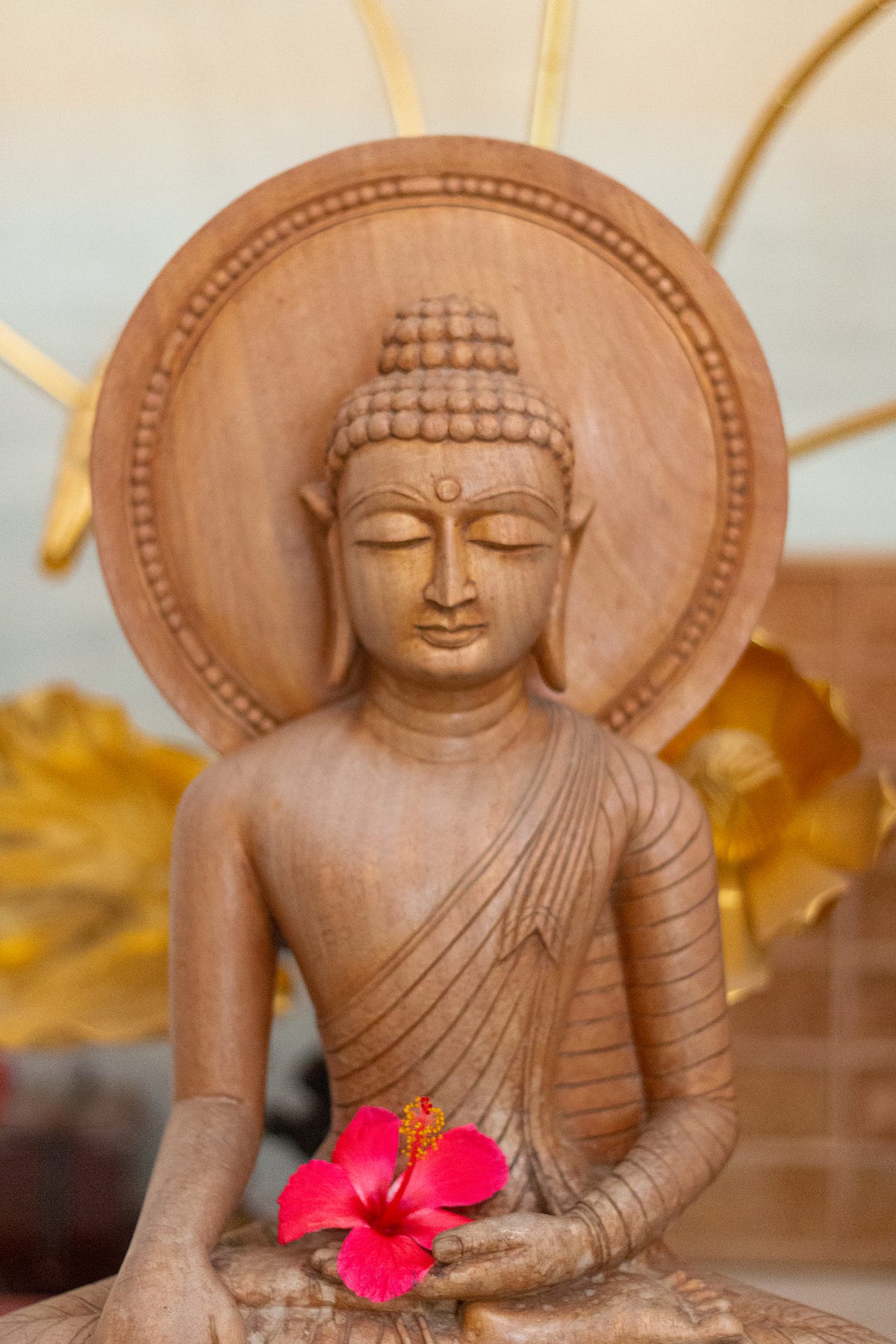 The 5 Ways to End Sufferings According to Buddhism | by Daniel St ...