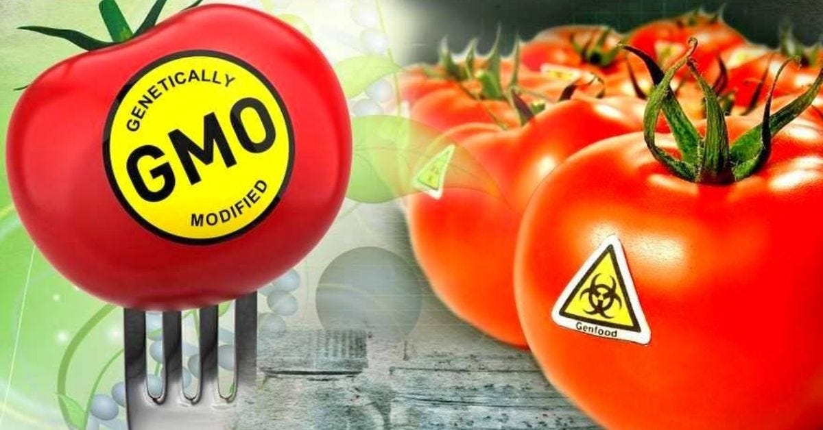 Are GMOs Dangerous To Your Health? | by Ali Chouhan | Sep, 2024 | Medium