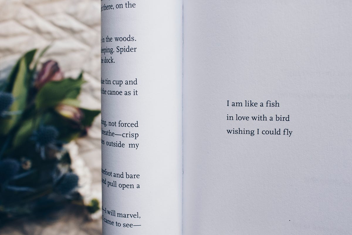What Is A Poem. Who writes poetry | by Christine Morris Ph.D. | Medium