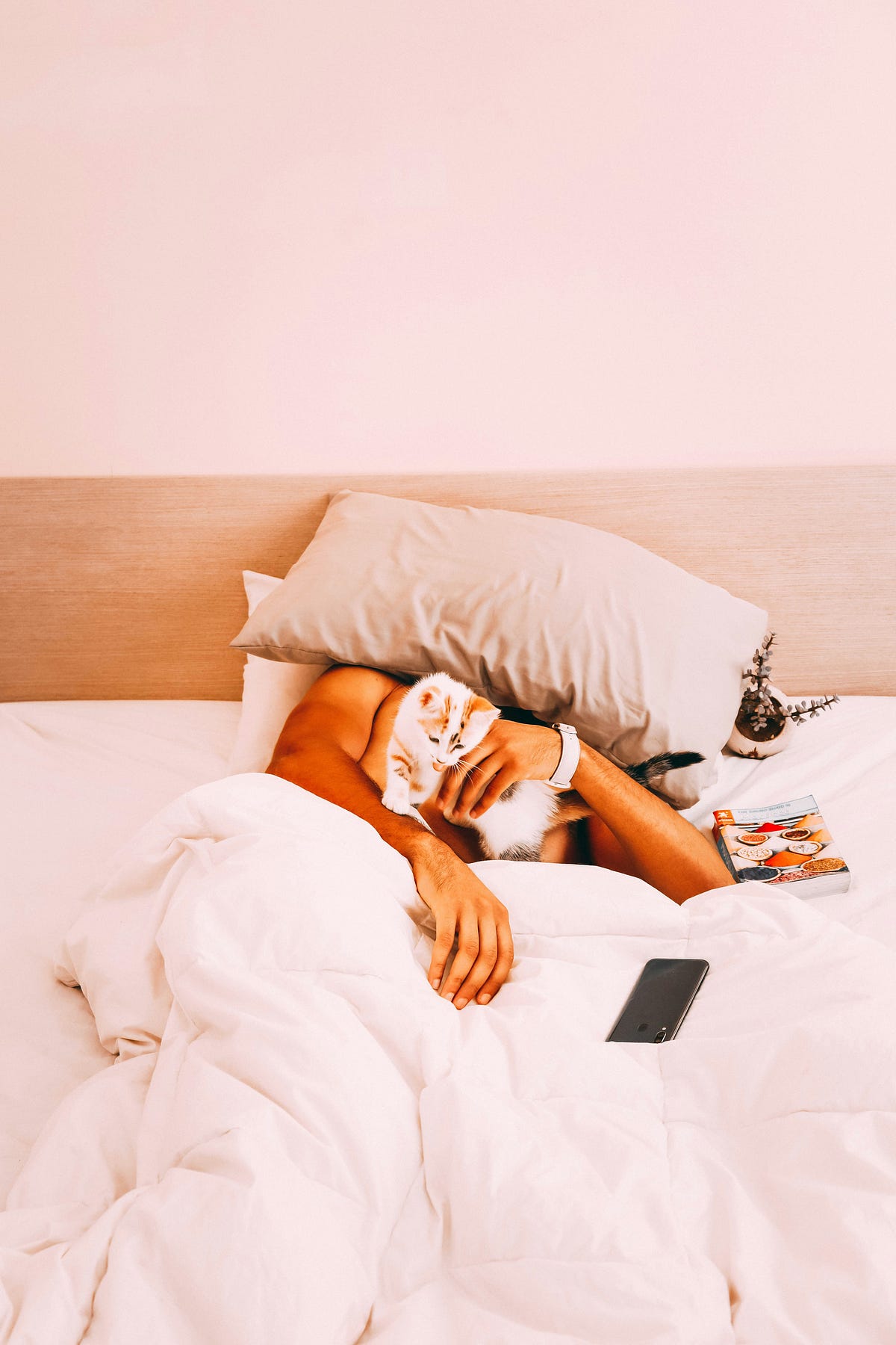 Are you getting enough sleep?. How to ensure a better sleep routine ...