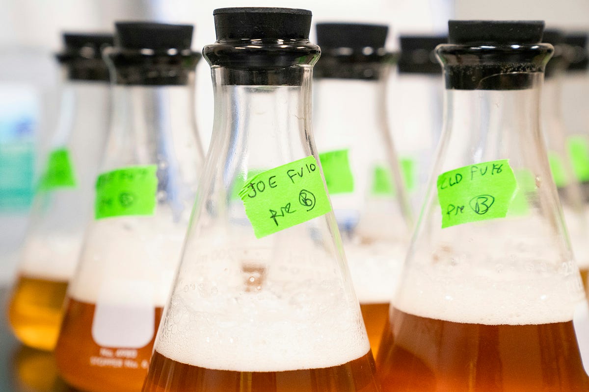 A Practical Approach to Multi-Label Classification with PyCaret | by ...