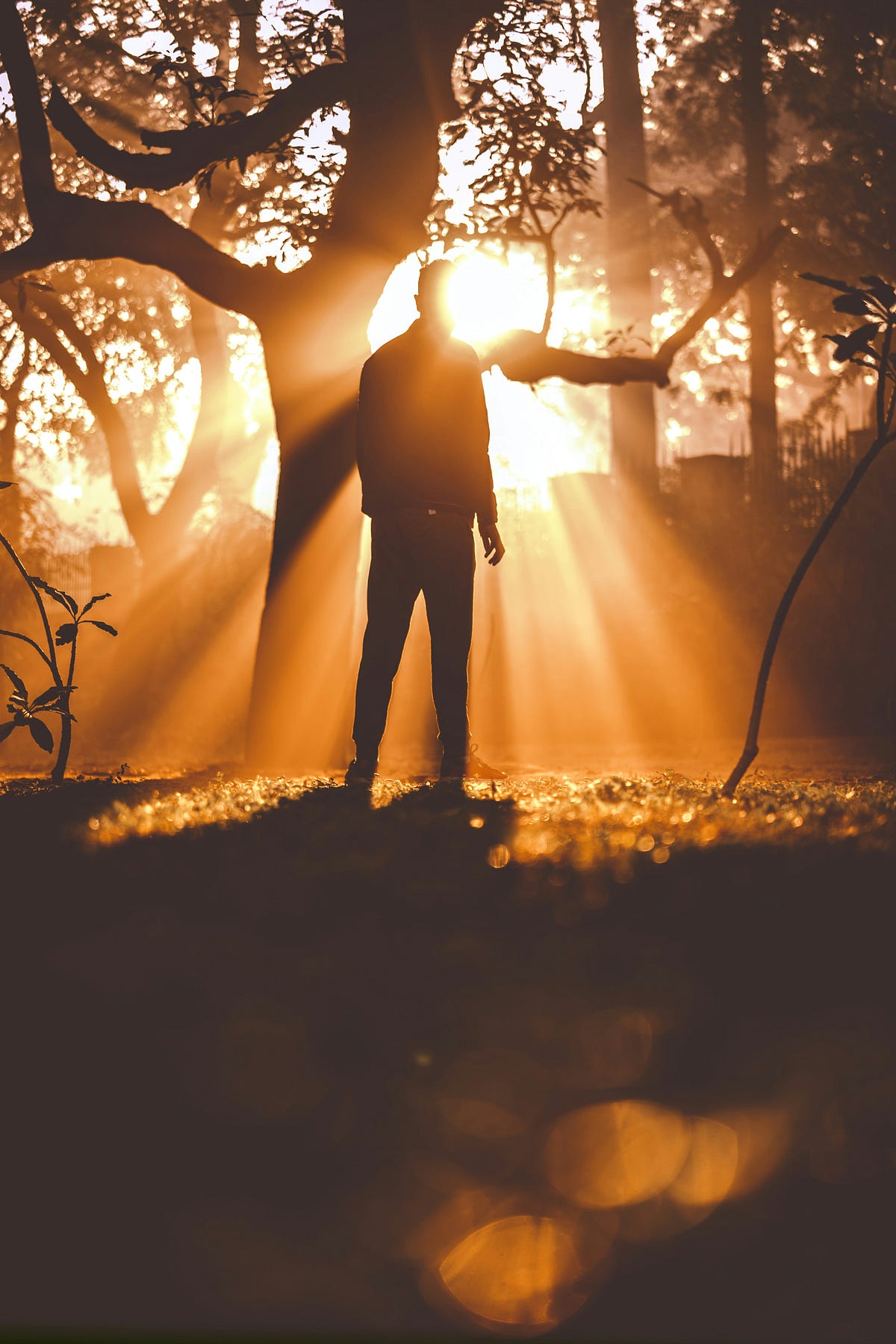 Signs You Are a High-Dimensional Light Being | New Earth Consciousness