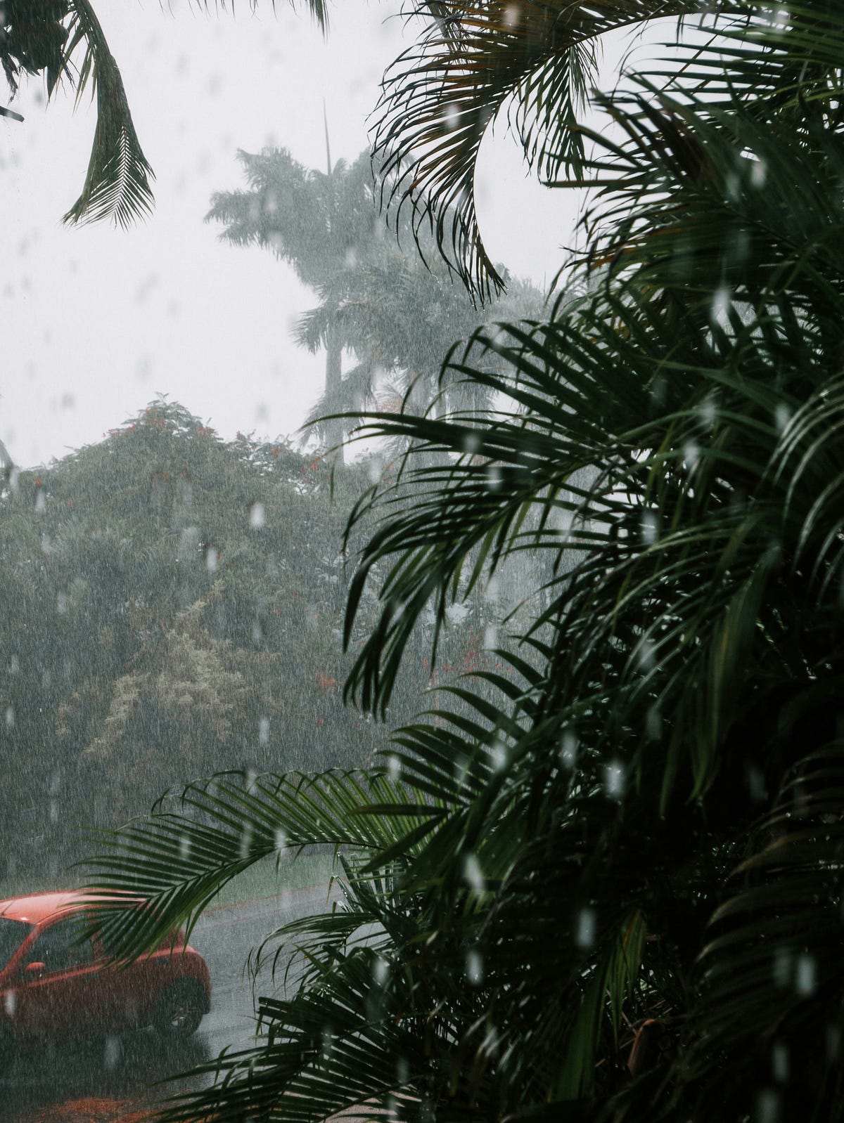THE RAINS. A Poem | by Smita Roy Trivedi, PhD | Poetry Playground | Medium