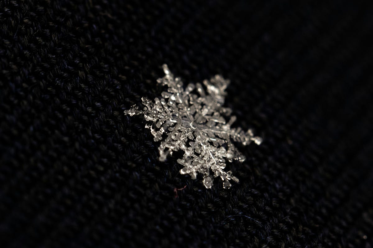 Irresponsible Snowflakes. Poem | by Zail Dugal | Medium