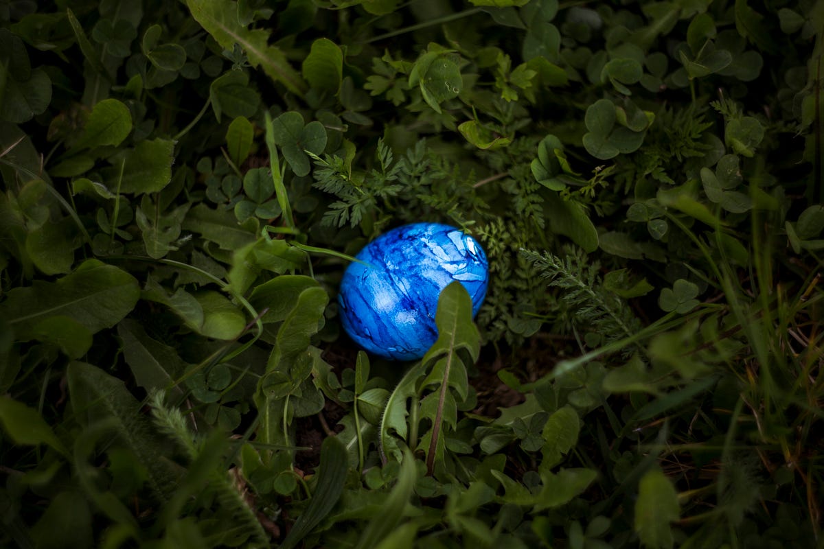 Adding Easter Eggs to your Applications | by David Lozzi | The Slalom ...