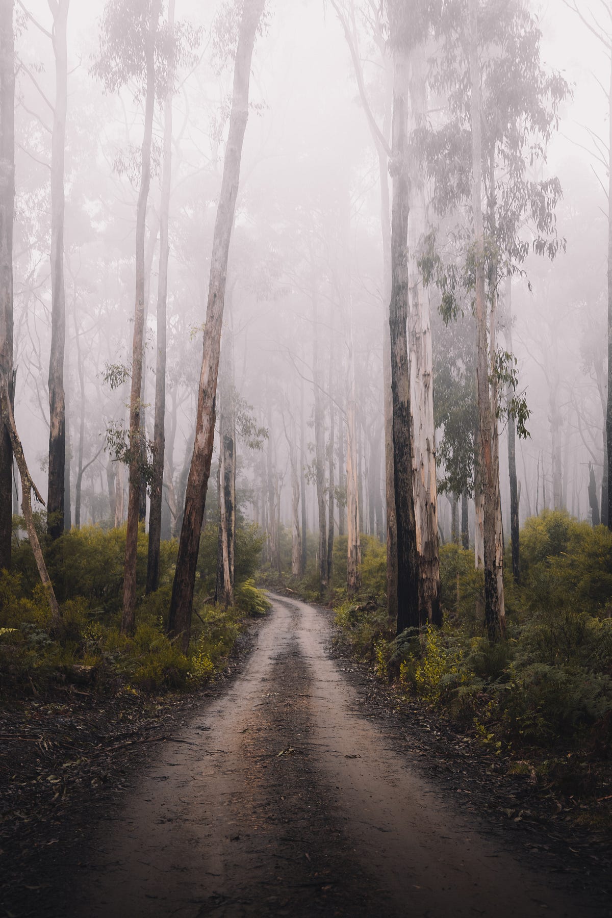 Note after a Nightmare. It’s Wednesday morning when I just woke… | by ...