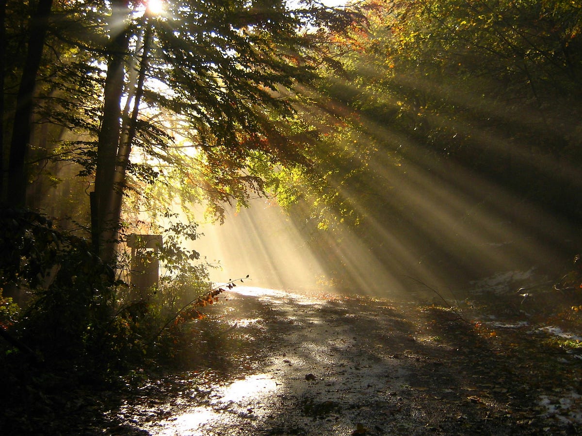 Awakening to Your Enlightenment. Awakening is a process in which a new ...