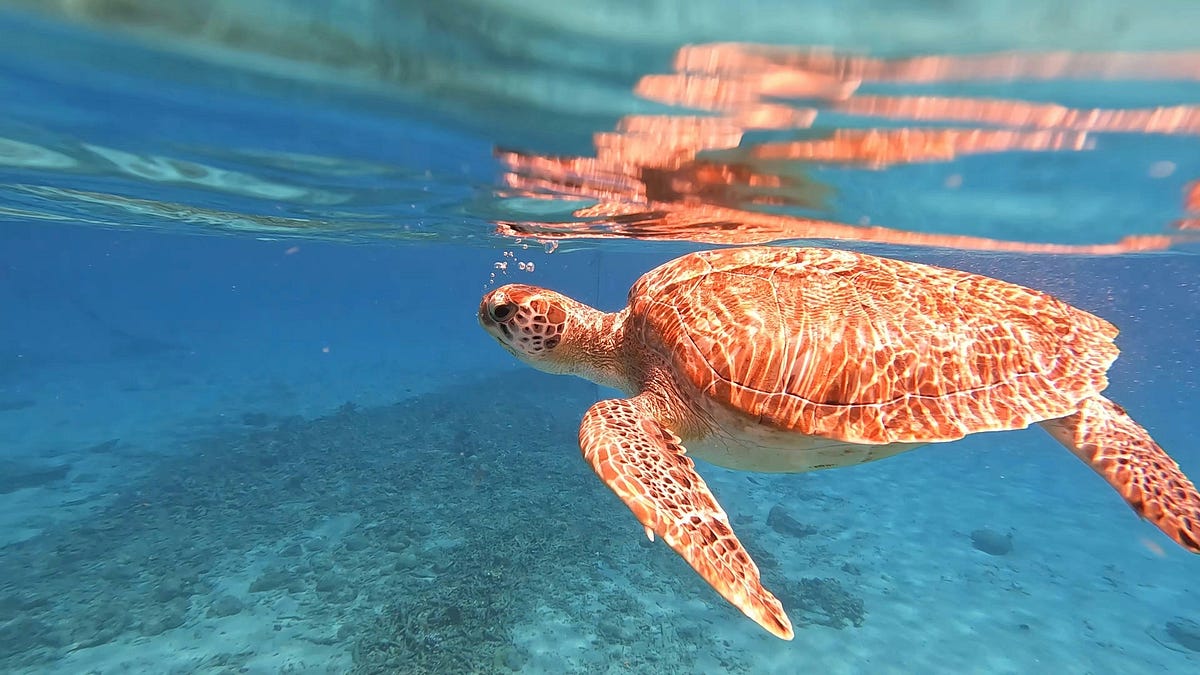 Building cloud resources with AWS CDK | by Kyle Jones | Medium