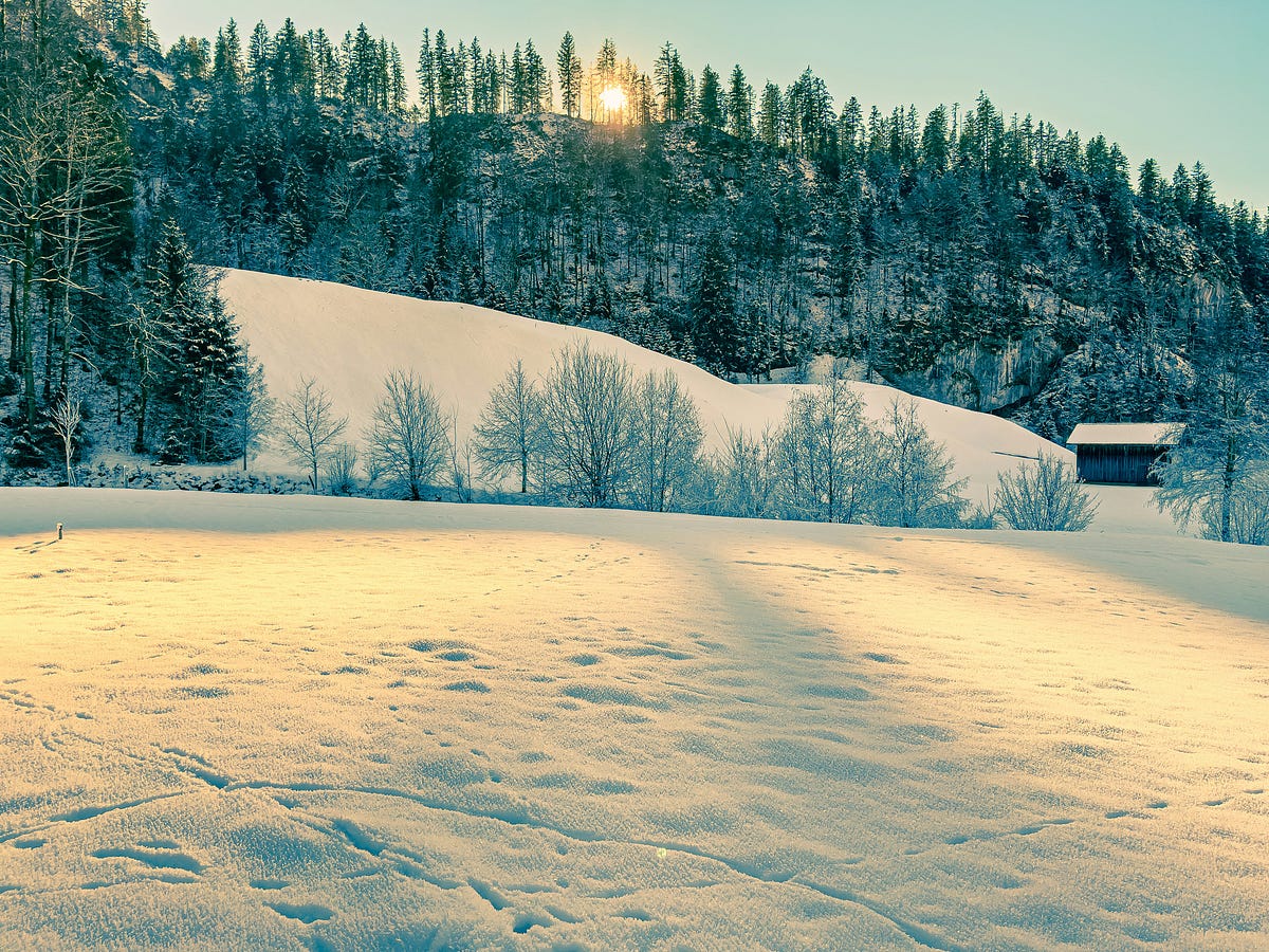 Winter Evening. Transitions | by Jan G Sokol | ILLUMINATION | Medium