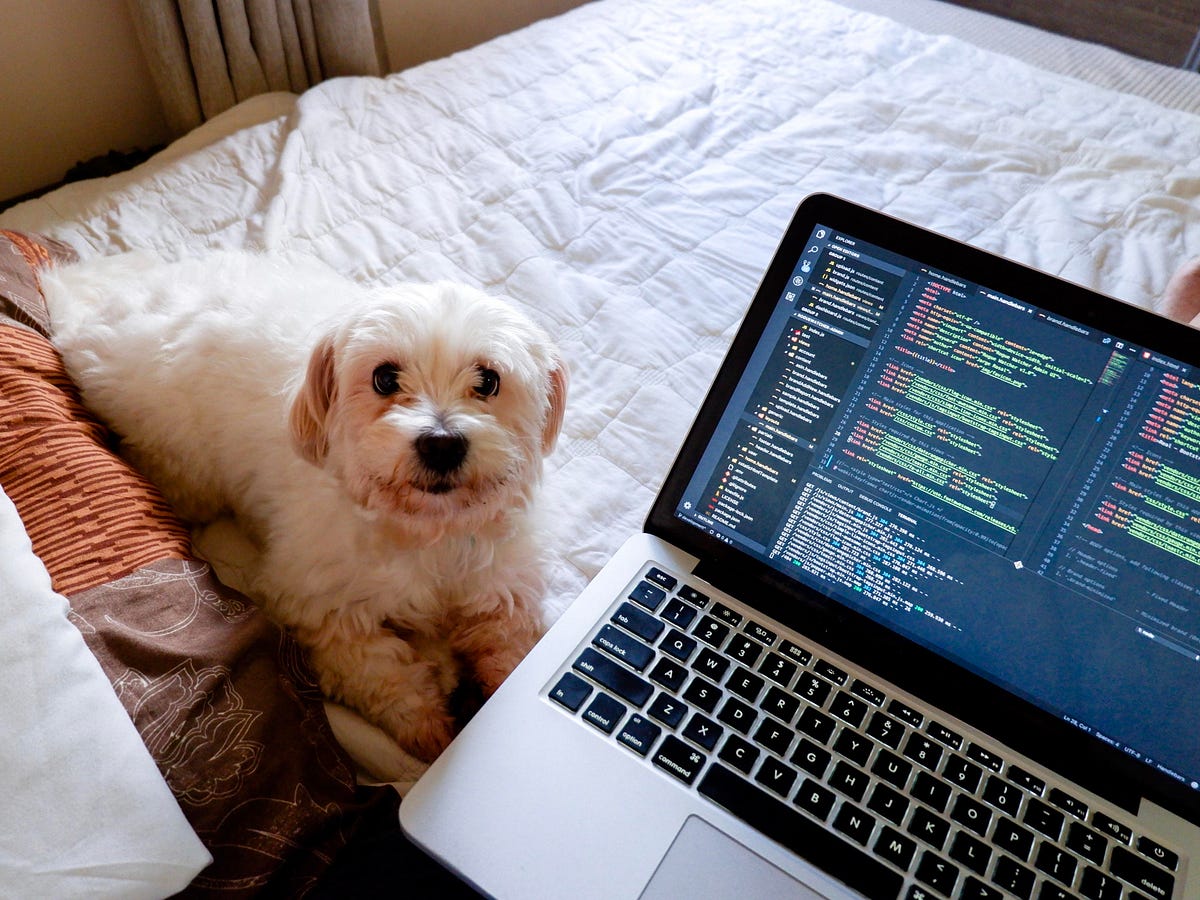 Mastering Javascript Objects 10 Tricks Every Developer Should Know By Anamol Soman Stackademic 3300