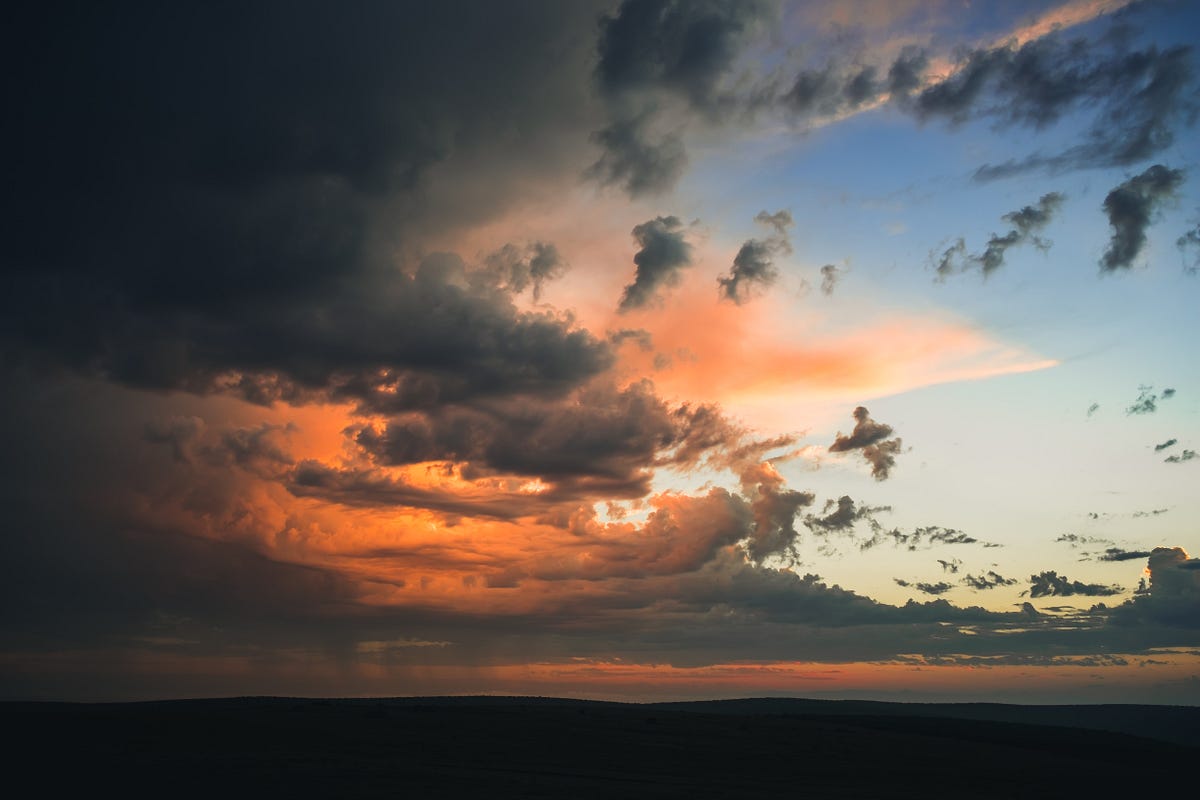 What PTSD Is and How to Heal. A review of ‘The Body Keeps the Score ...
