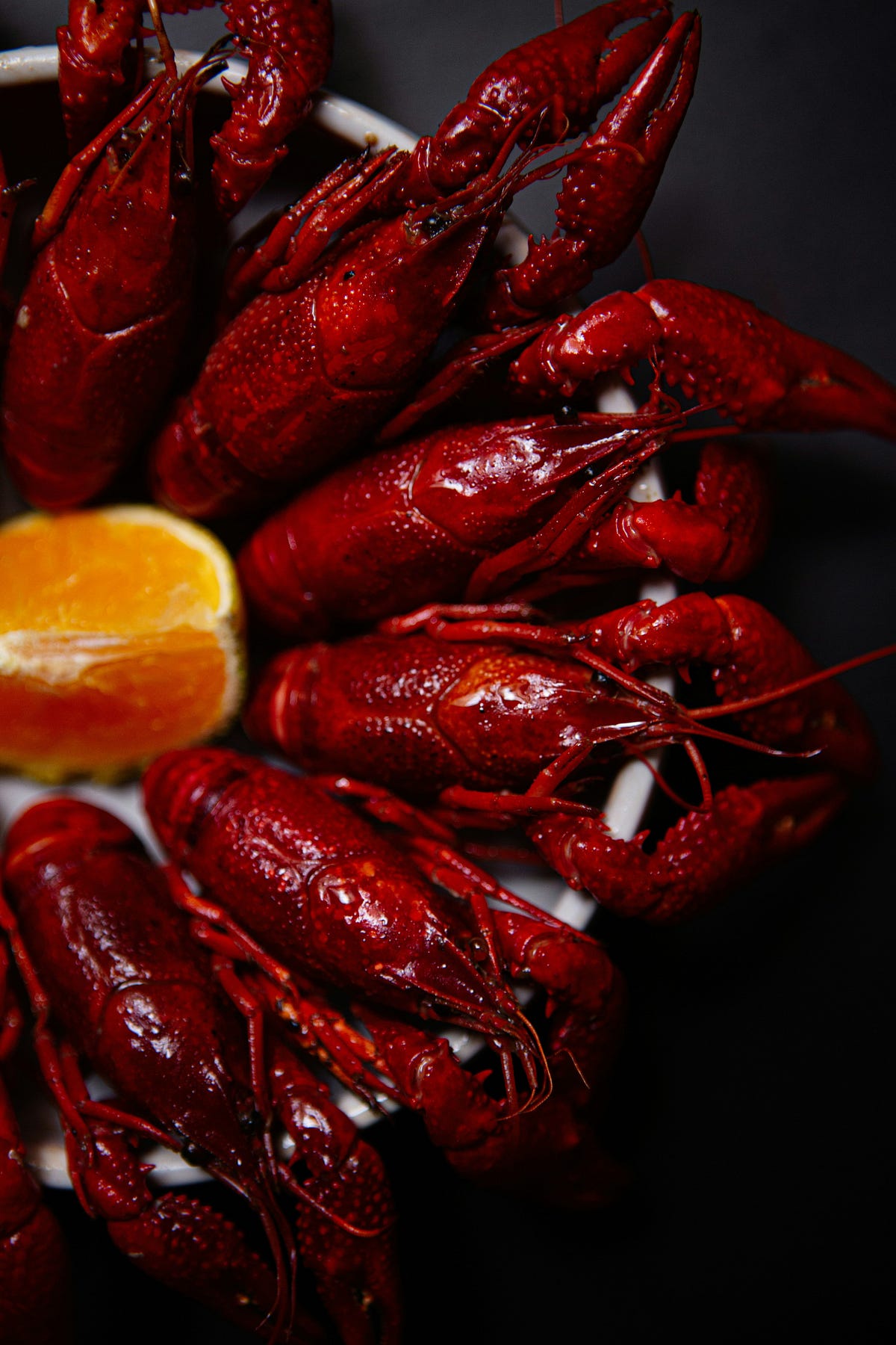 Lobsterface. Soon it will be time for summer… | by Suzanne V. Tanner, M ...