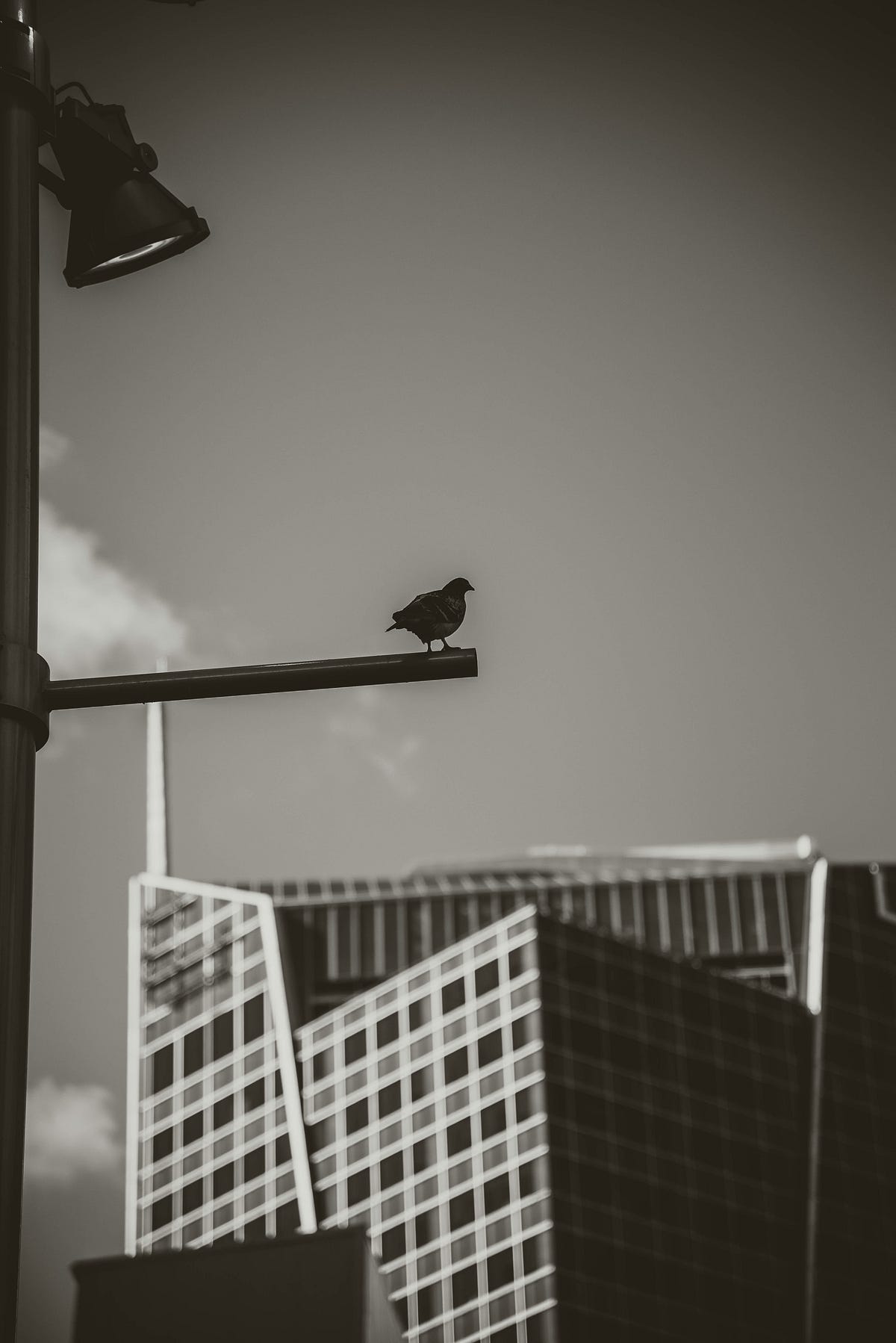 The Right To Be Sad. An attempted capture of being miserable… | by Sundry Scribes | Jun, 2024 ...