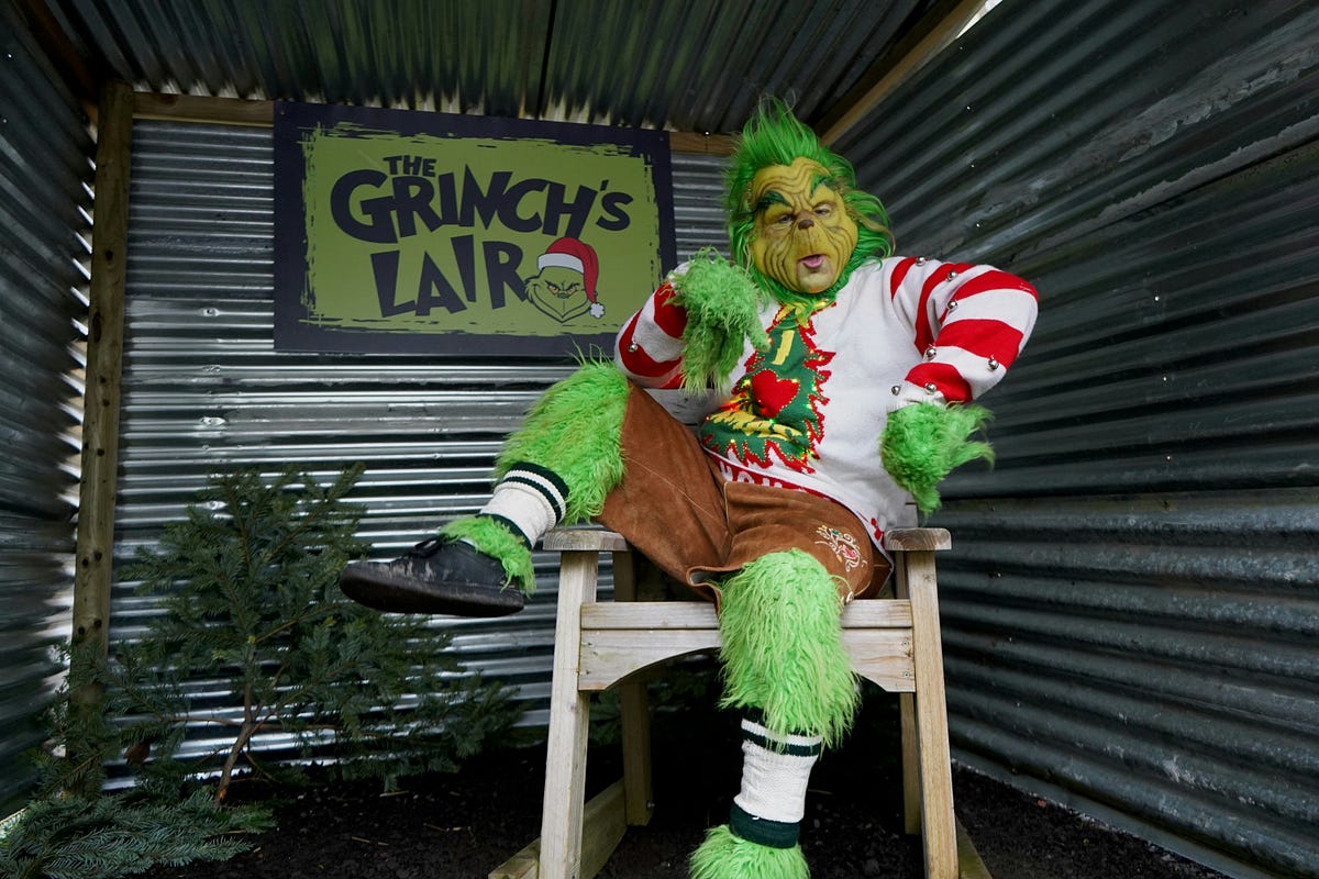 The Grinch Is Staying at Our House This Holiday Season | by Zail Dugal ...