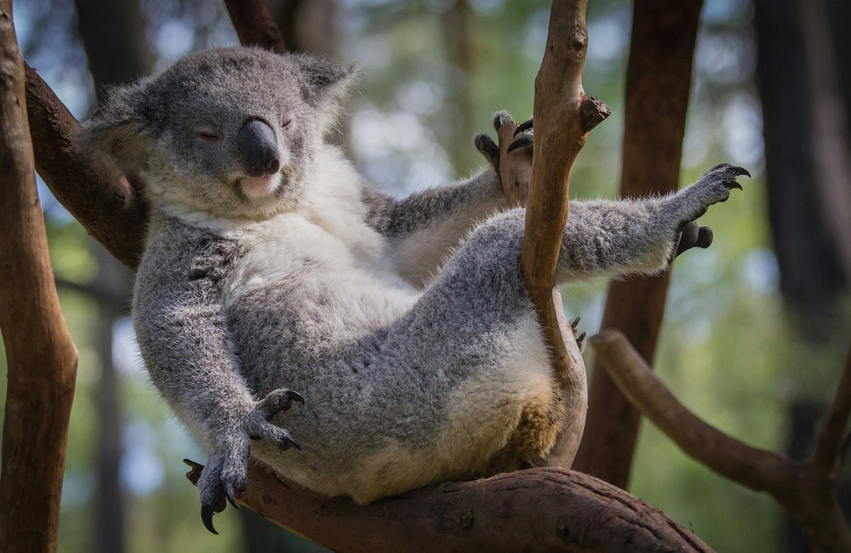 Inaction Is a Slow Death. Why doing nothing is slowly destroying your ...