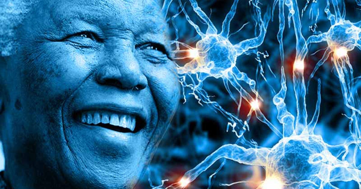 The Mandela Effect: Exploring the Fascinating Phenomenon of Collective ...