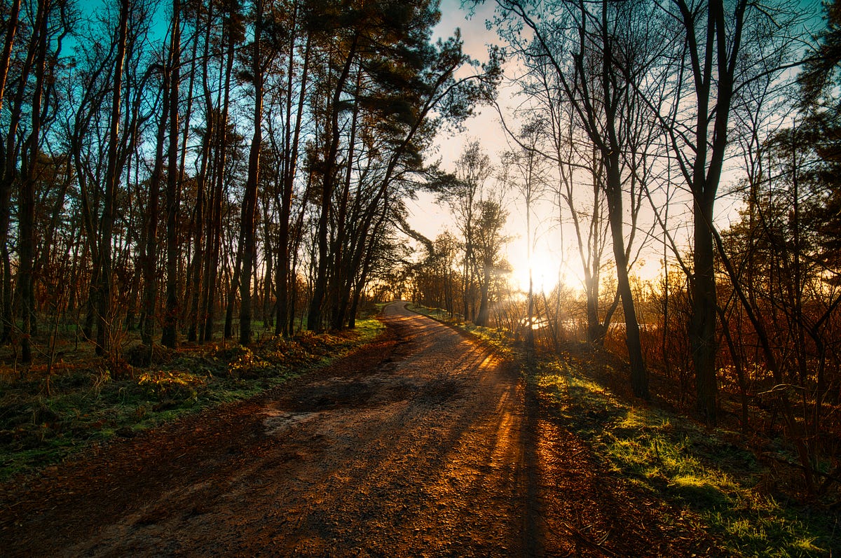 Ray of Right!. As we observe the world around us and… | by Rishit Gupta ...