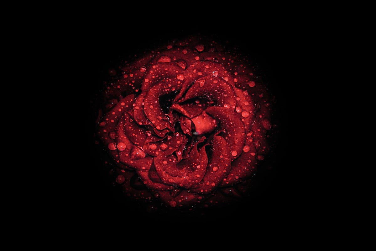 Soul Flowers. Roots | by Amy Christie | Spiritual Tree | Medium