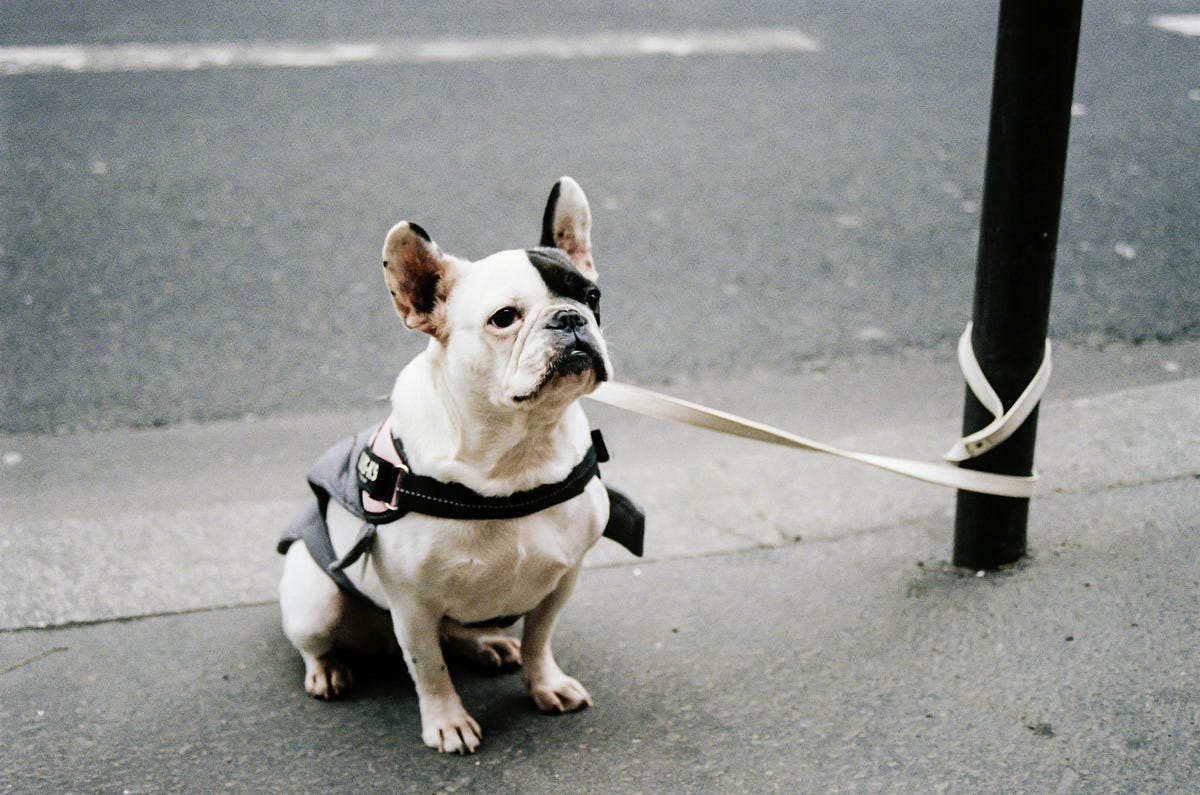 How to master active waiting. Being productive in the pause | by ...