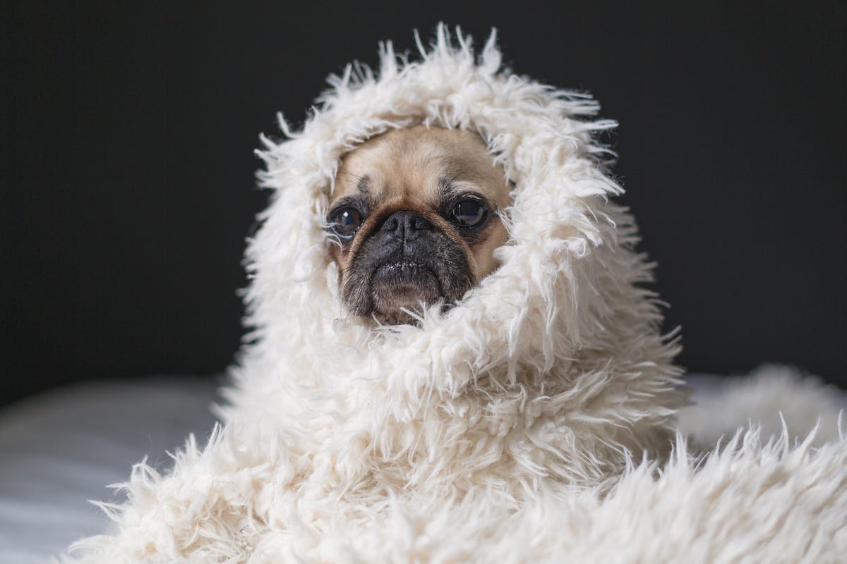Vue 用 Vuepugsass 來提升你的開發效率 Should I Use Pug Or Sass？ By Itsems Itsemsfrontend Medium