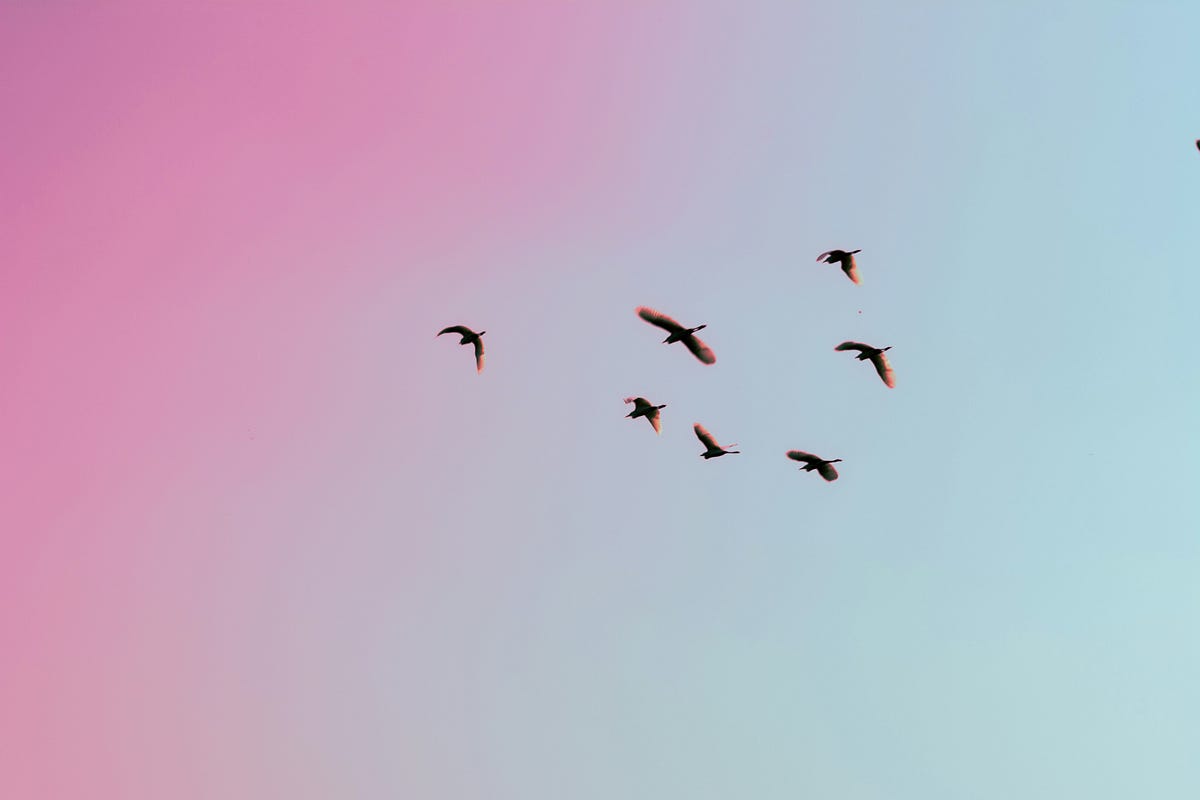 Addiction. In my experience addiction begins and… | by Yakov Pyatnitskov | Jan, 2025 | Medium