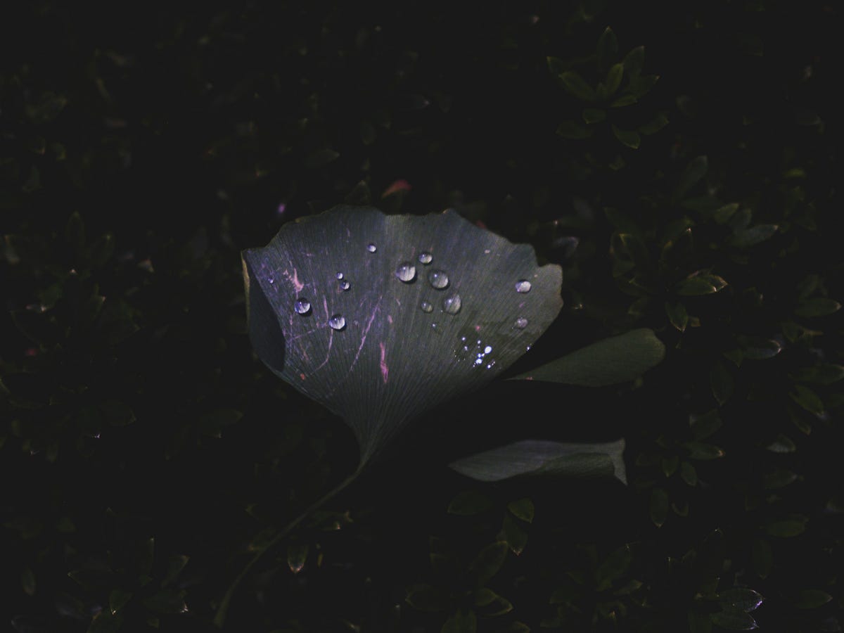 The Embrace of Nothingness. Nothingness — an end to a nugatory… | by ...