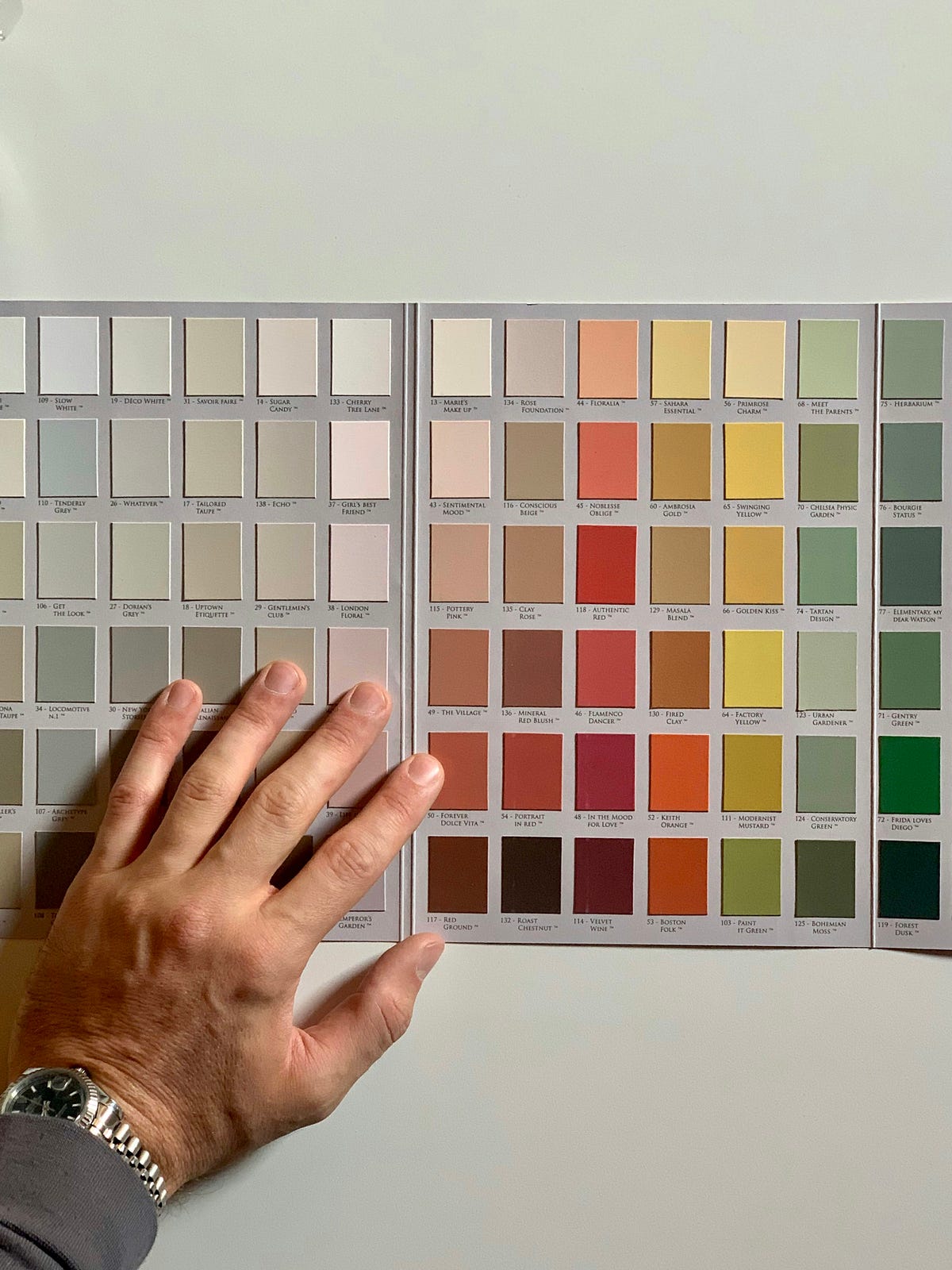 We see.. But they don’t 🙂‍↕️. 🎨 “The Colors They Never Saw” — A… | by Swetha Gopalakrishnan ...