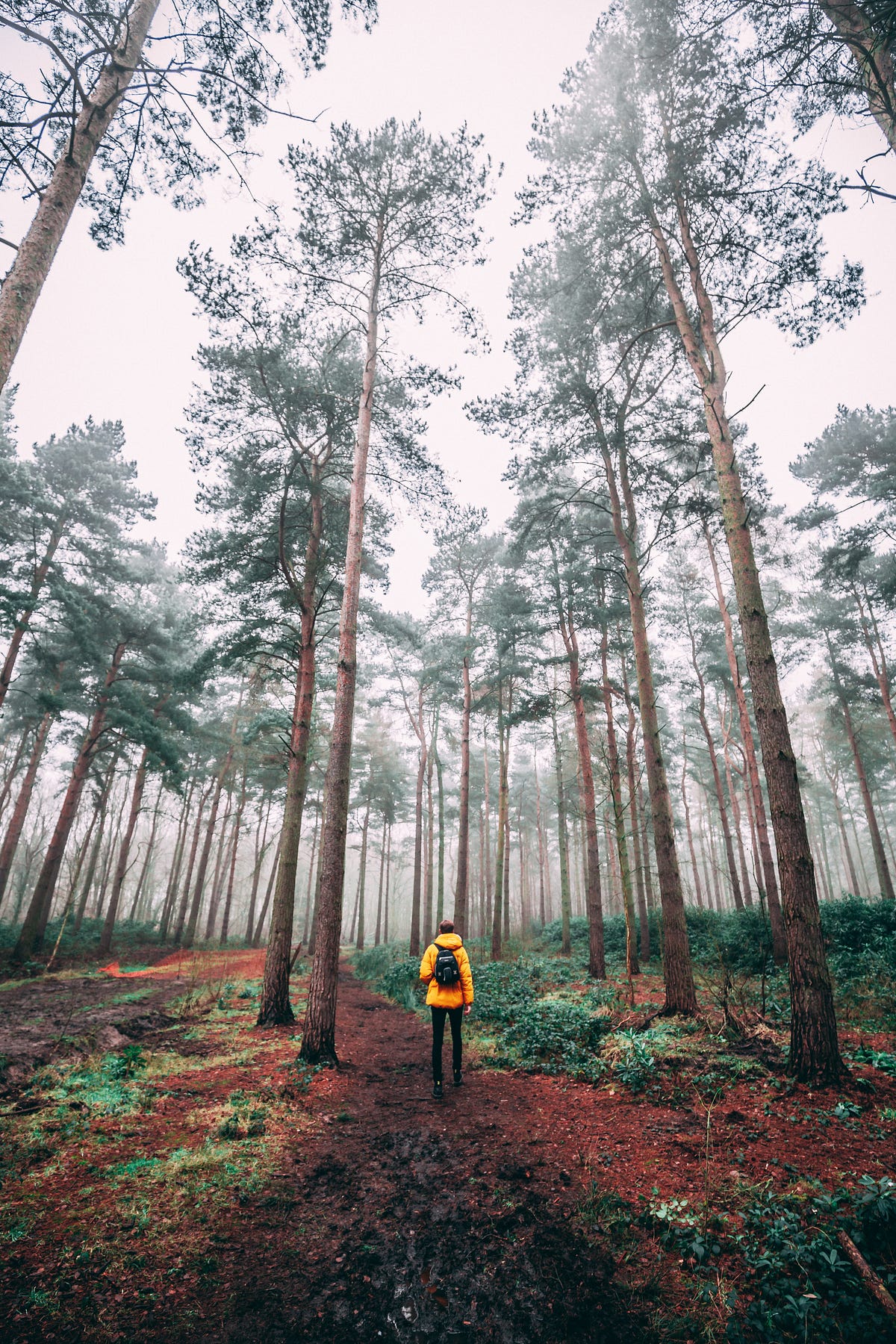 The Spiritual Practice That Helps Me the Most | by David Gerken ...