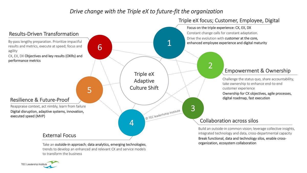 The Triple eX: Adaptive Culture Shift | by Dr. Christine McCarthy | Medium
