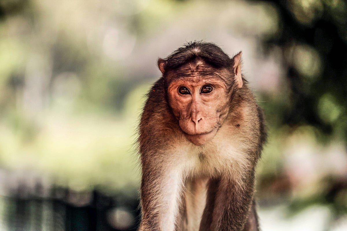 Zero Cents for a Story: How Is That Even Possible? | by Purbita ...