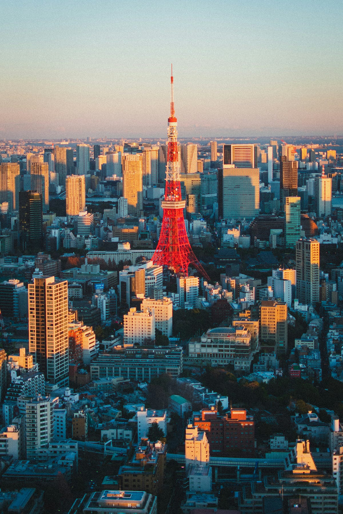 How Tokyo Solved Housing. In the major metropolitan areas across… | by ...