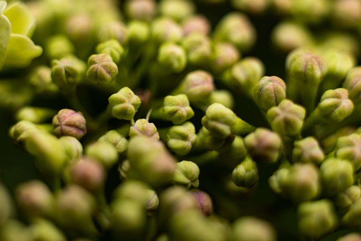 YAML Files and Pods. Let’s get started with creating a pod… | by Aman ...