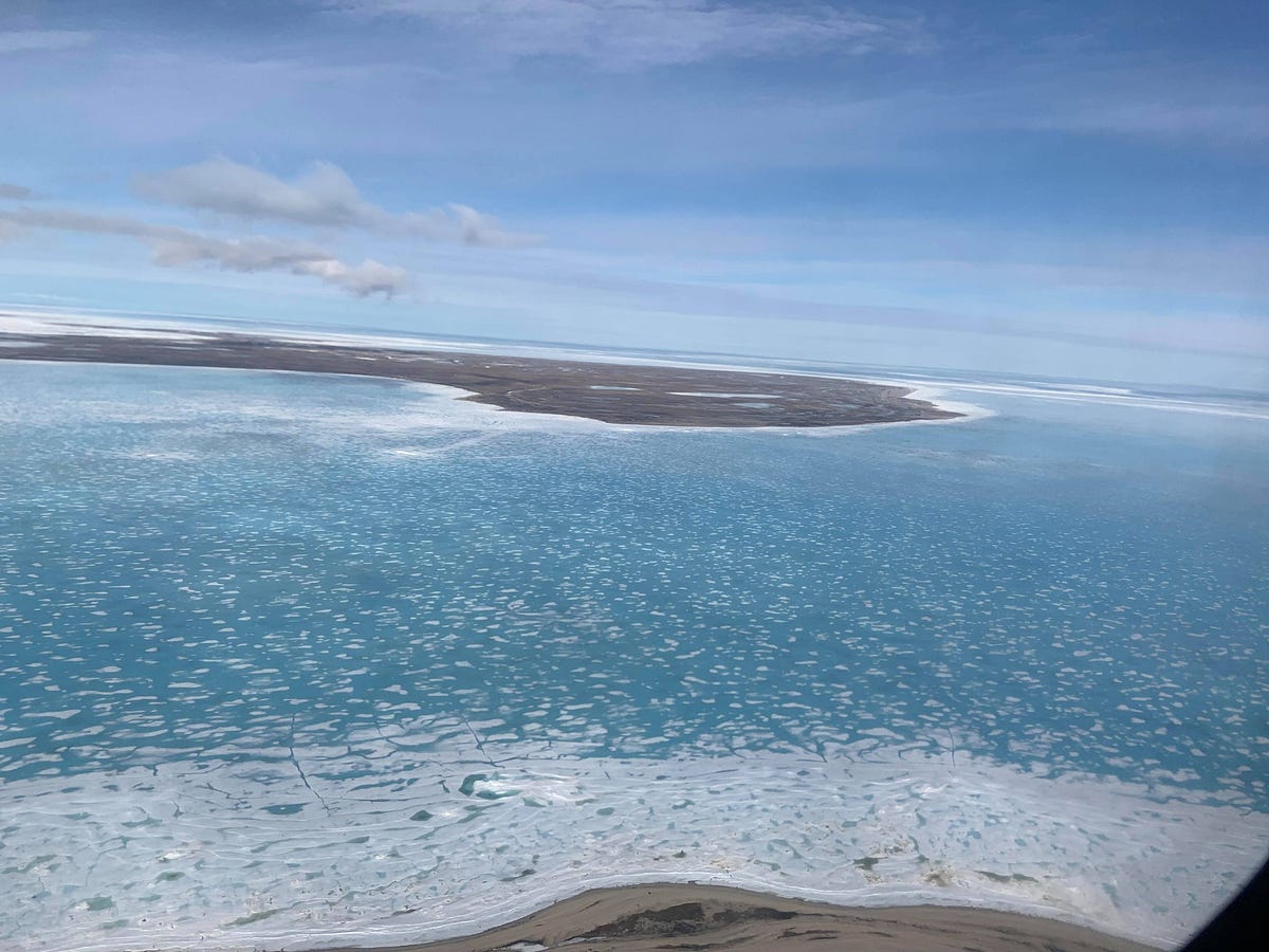 The Arctic ‘Bus’ Route. Back in September of 2018, I had… | by Poet In ...