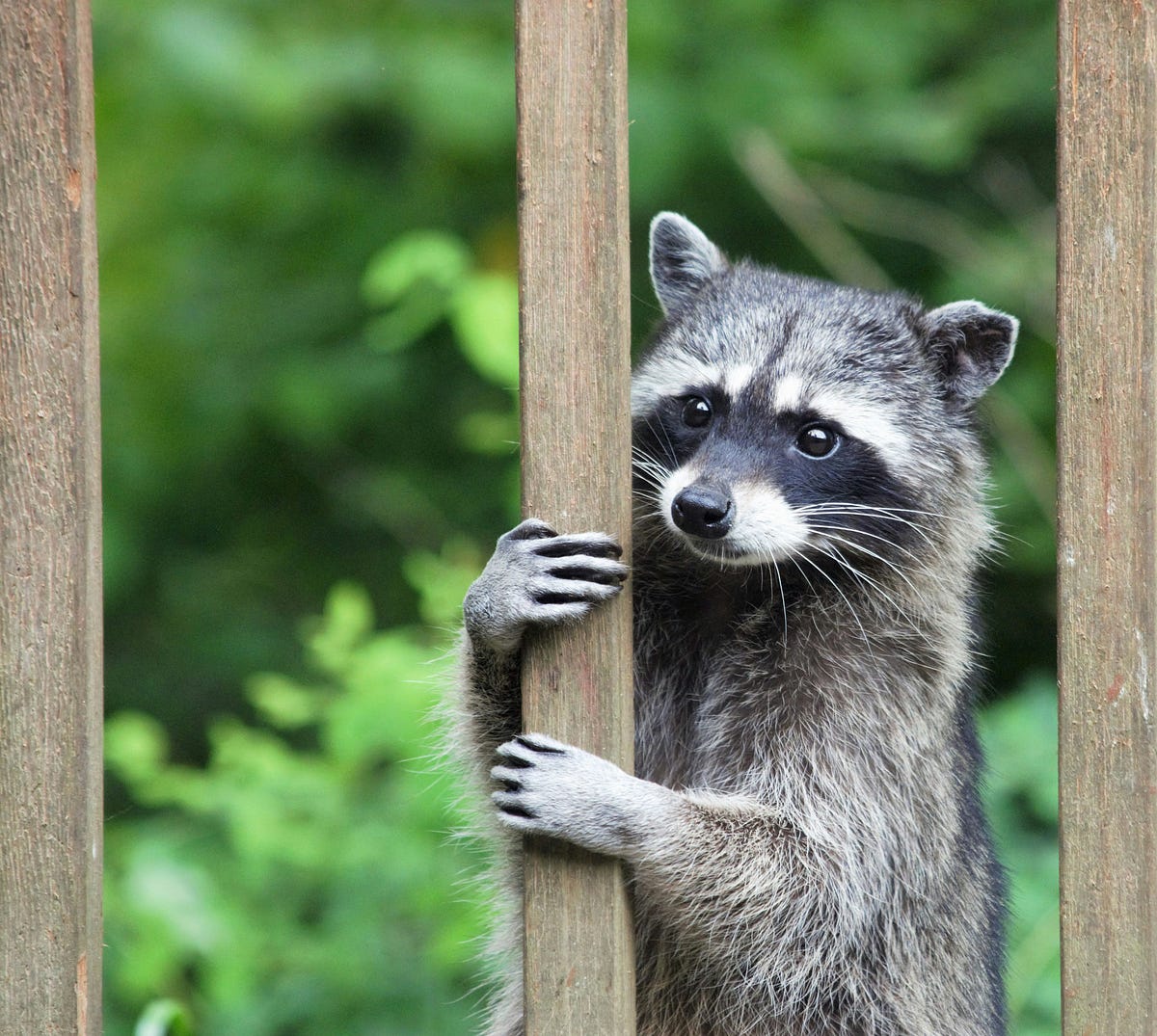 Your Insecurities Are Pointless | The Pen & Quill