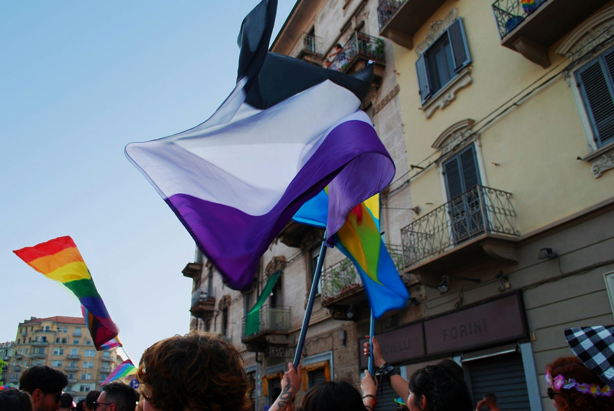 Asexual & Aromantic Explained: LGBTQ+ Education — Article by Xenia C ...