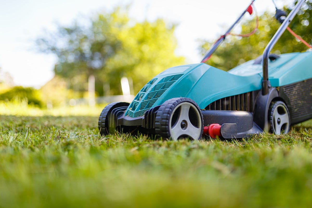 These Essential Landscaping Services Are Imperative to Retain Healthy ...