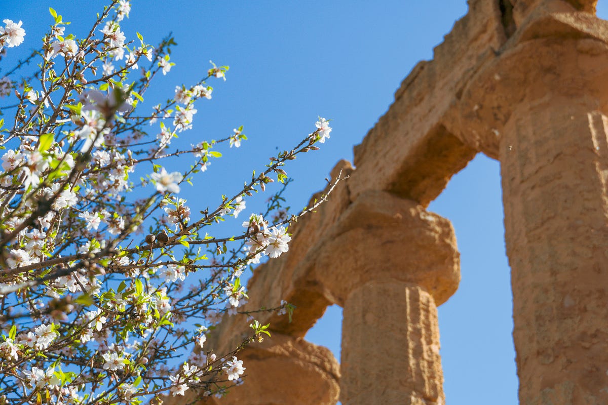 Happy New Year! Another Ancient Roman Holiday | by Rhea Barden | Medium ...