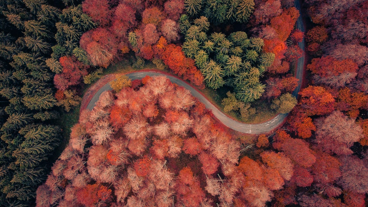 The Opposite of Stuck: Autumn Musings | by Lorri Willett Thatcher | Feb ...