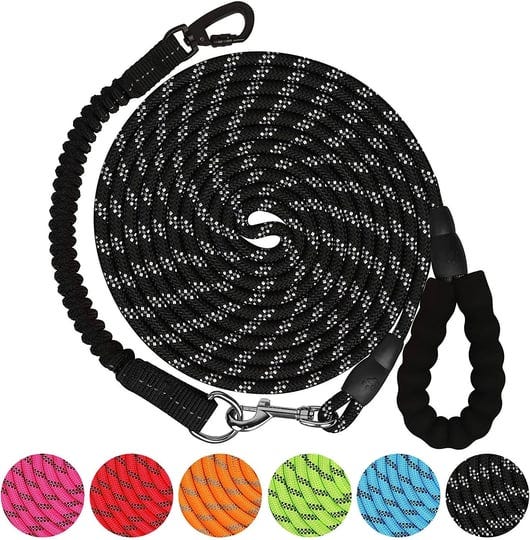 Training Leashes | by Bryan Williams | Jun, 2024 | Medium
